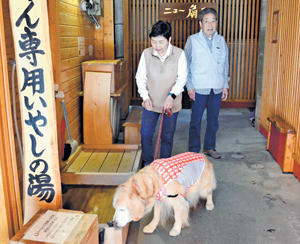 ホテルで留守番、旅館に同伴宿泊...ペットサービスのニーズ拡大 | Cheriee NEWS